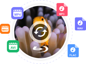 AnyMP4 ブルーレイリッピング 評価 特徴 使い方やダウンロード方法 | dorublog
